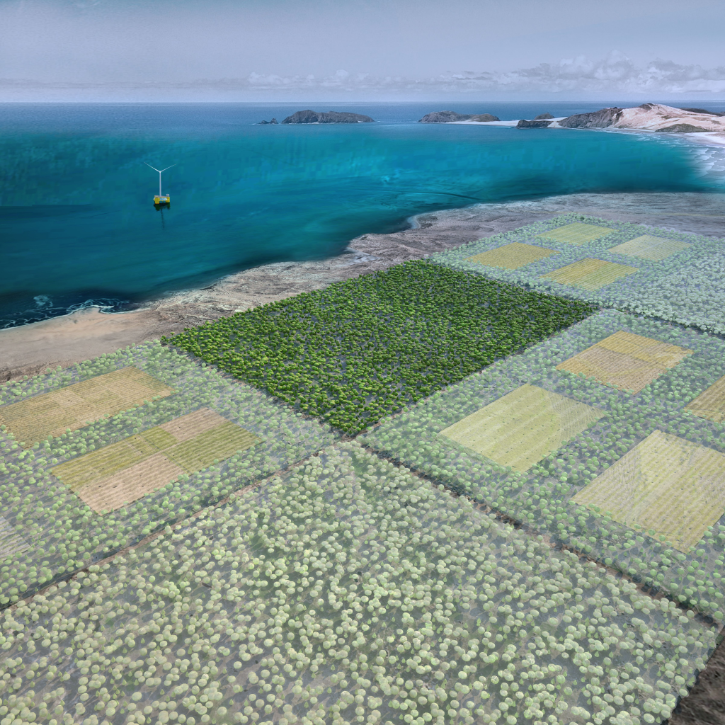 Scale-Up - Sahara Renaissance Project